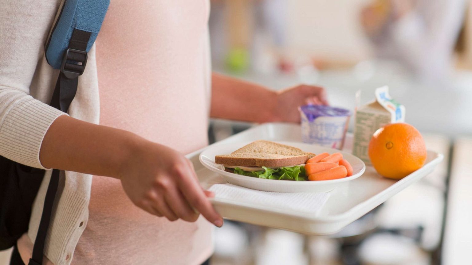 Benefits of Children’s Feeding Programs: A Guide – Per User